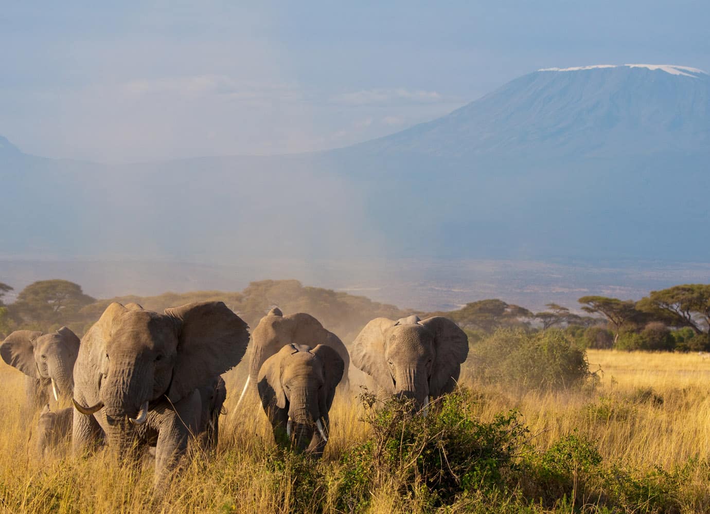Amboseli Ecosystem – Porini Camps