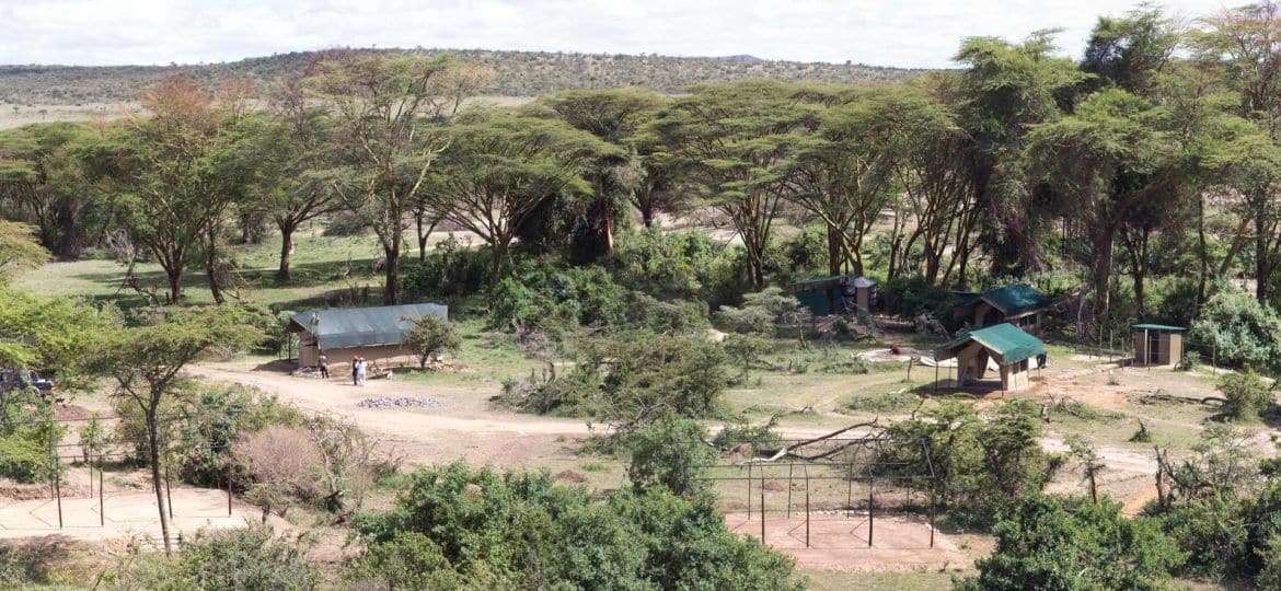 Cheetah Camp – Porini Camps