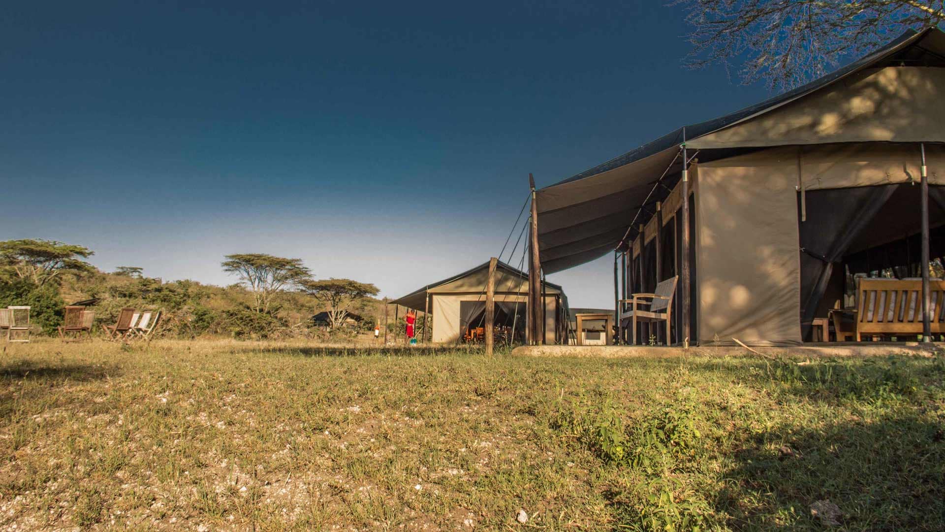Cheetah Camp – Porini Camps