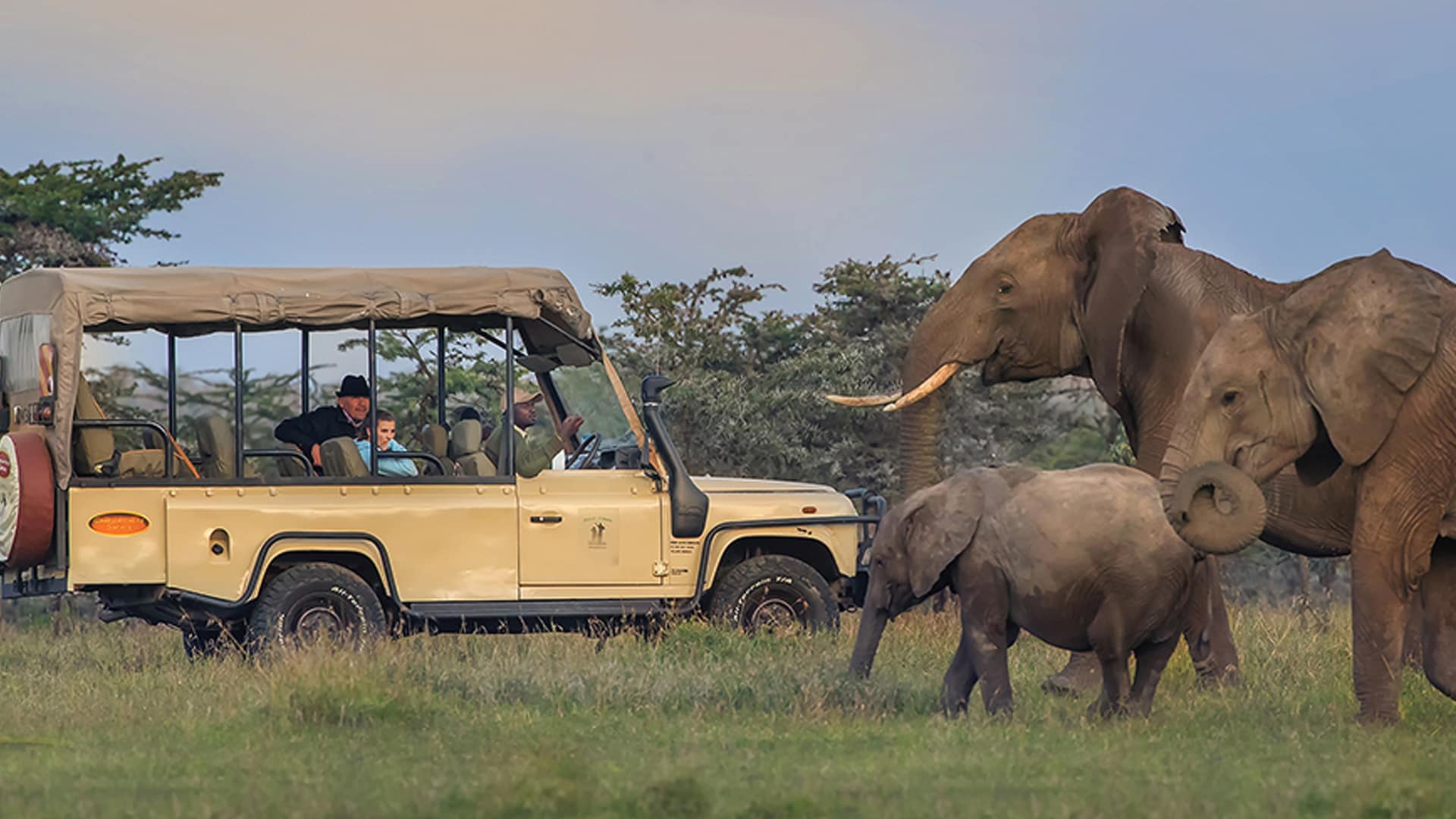 Lion Camp – Porini Camps