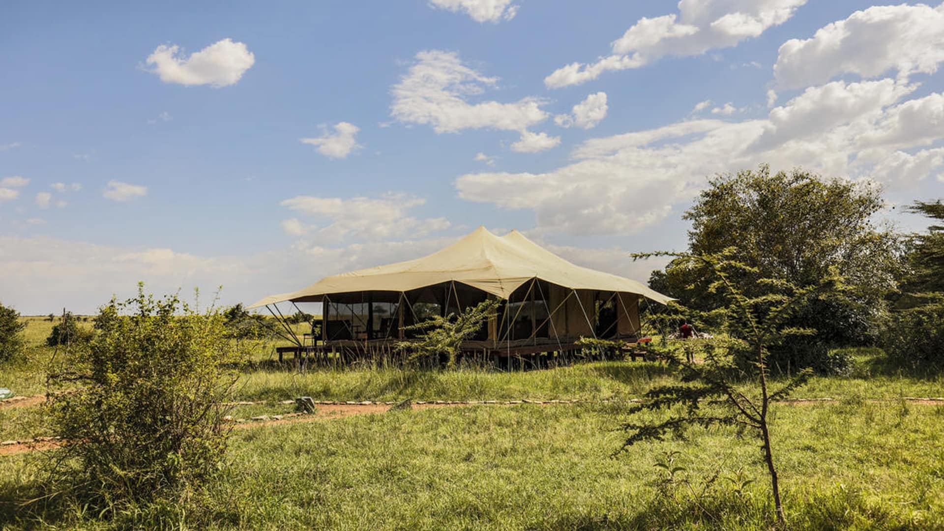 Lion Camp – Porini Camps