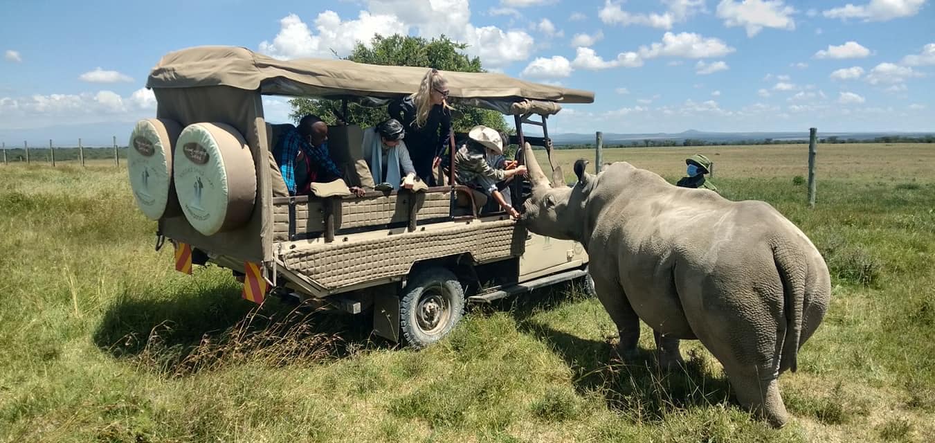 Rhino Camp – Porini Camps