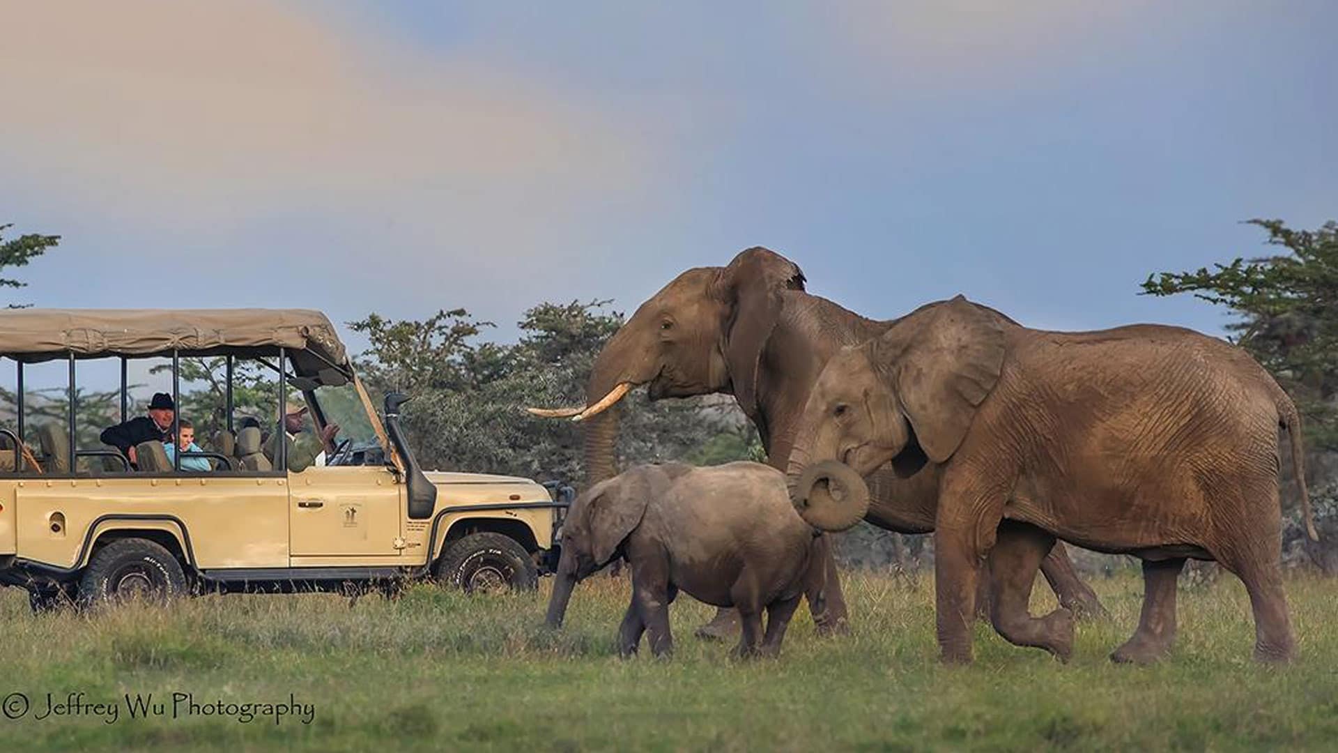 Rhino Camp – Porini Camps